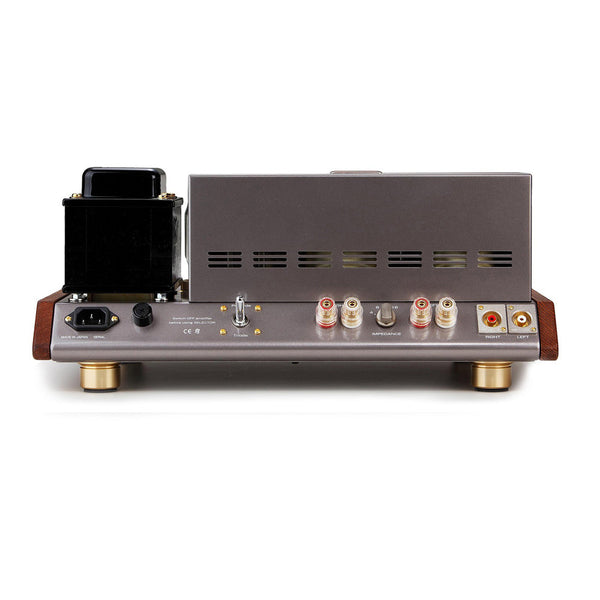 LEBEN CS-1000P STEREO POWER AMPLIFIER – Vinyl Sound USA